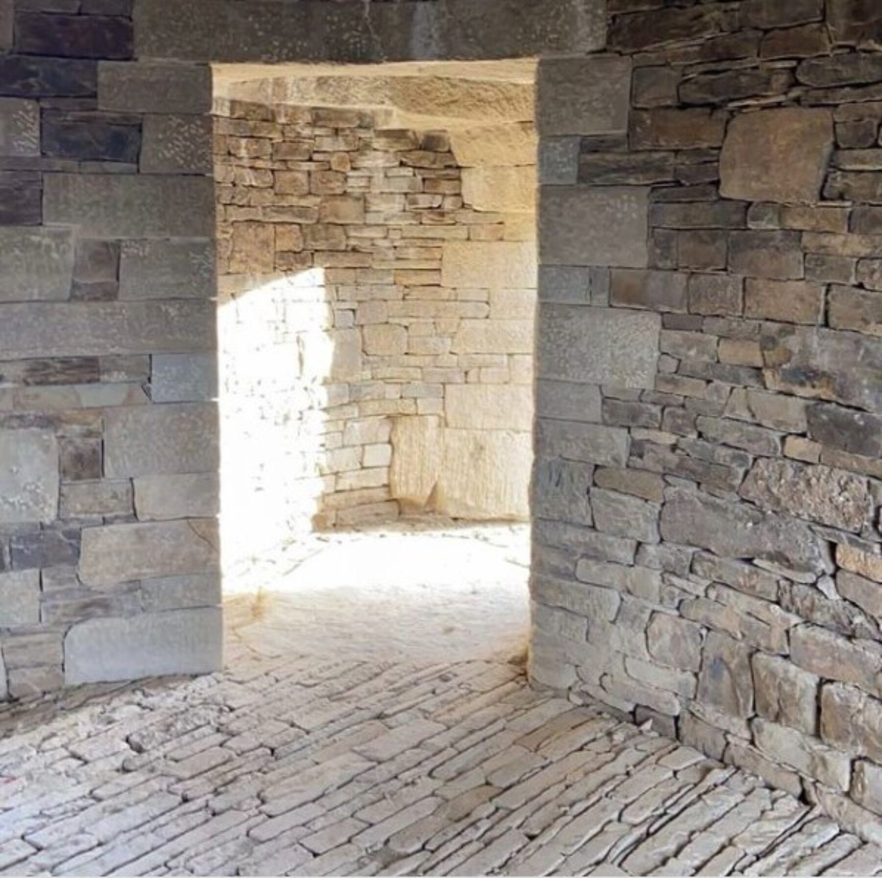 O’Donnell + Tuomey