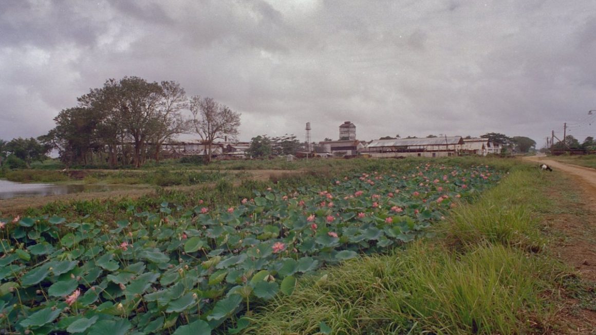 Kevin Headley - OneWorld