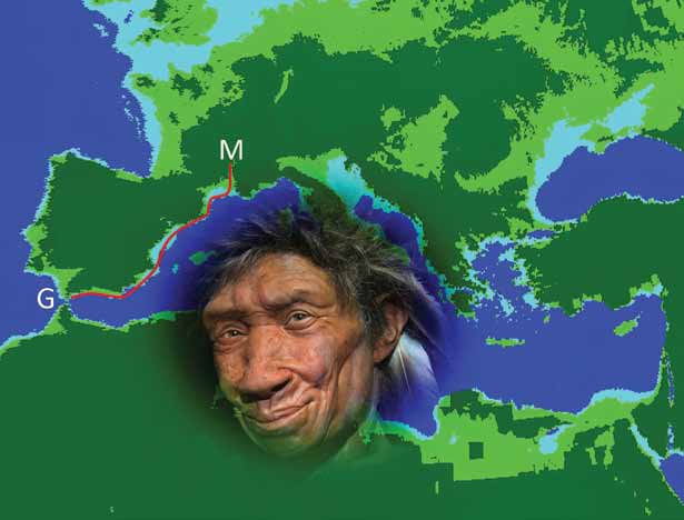 Scientific paper researches Gib 1 Neanderthal skull - Gibraltar Chronicle