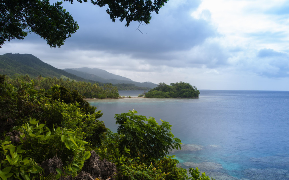 Dive Milne Bay | Original Diving