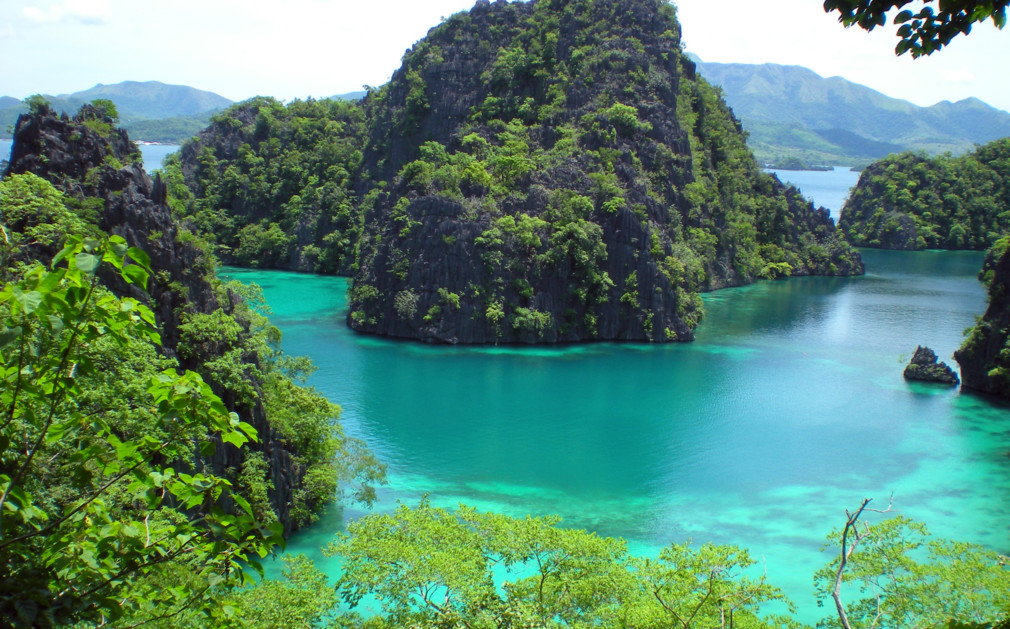 Palawan Diving | Original Diving