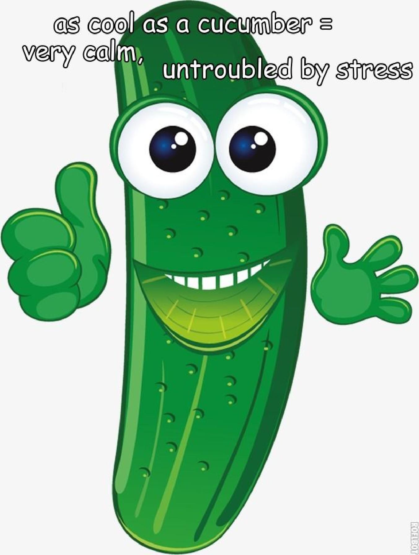 Healthy Lifestyle - Ourboox