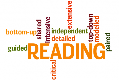 Top-down:reading theory - Ourboox