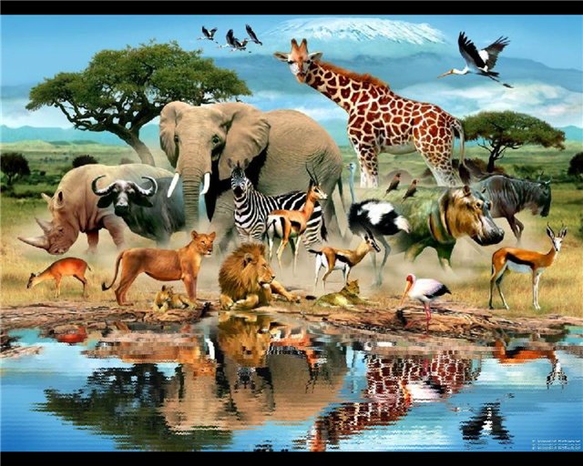 INTERESTING FACTS ABOUT ANIMALS - Ourboox