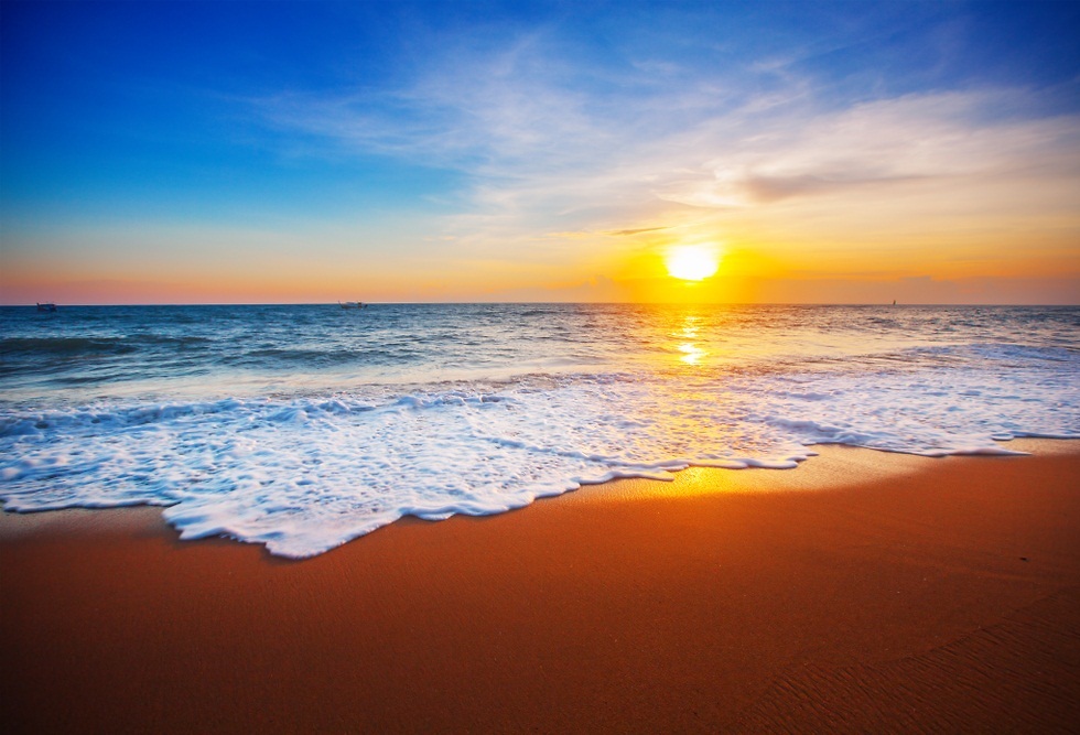 שרון אנה יעקבי - Ourboox