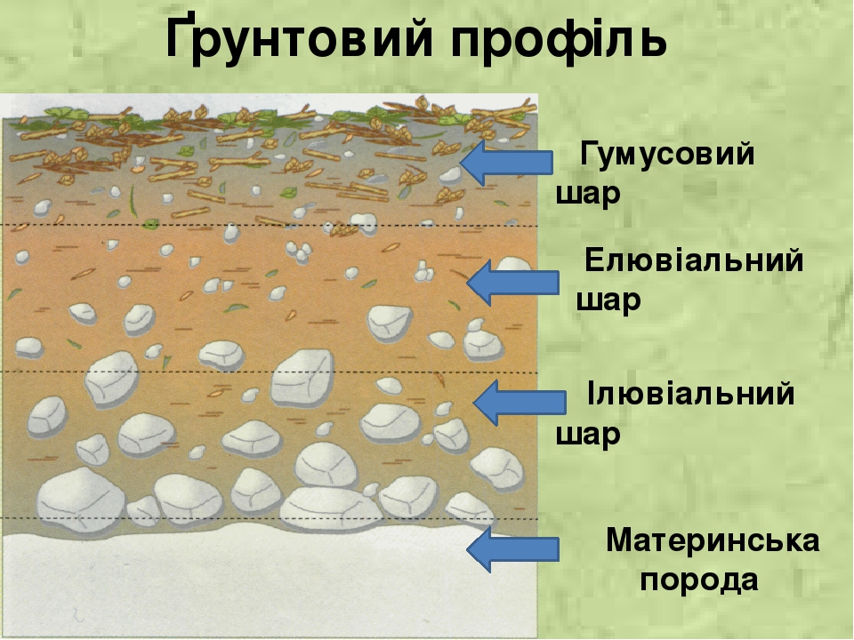 Грунти України - Ourboox