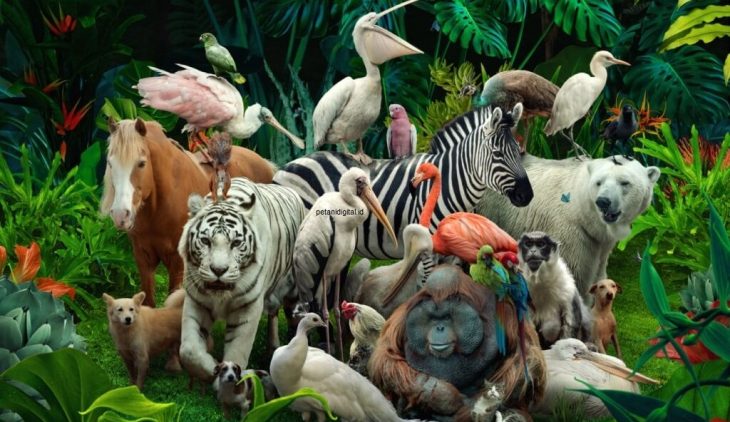 IL REGNO ANIMALE - Ourboox