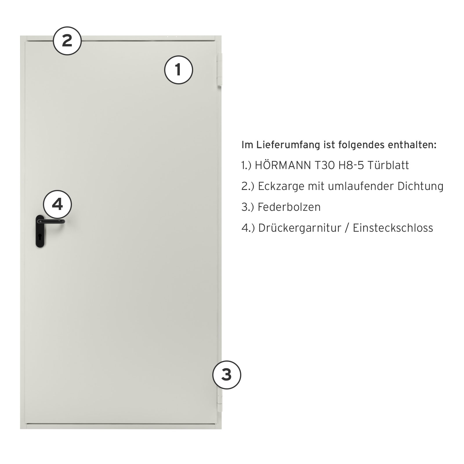 Hörmann Feuerschutztür Brandschutztür T30 H8-5 Eingangstür Garagentür Stahltür | eBay