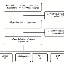 Flow diagram showing the selection process