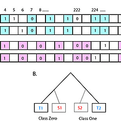 Procedure for building a dendrogram