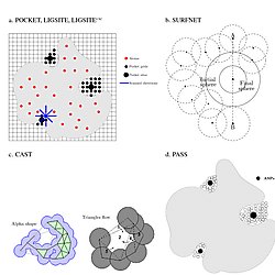 Pocket identification methods
