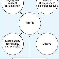 Key elements of EHCRBs