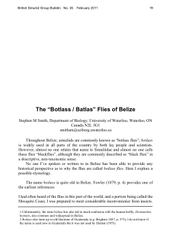 The Botlass Flies of Belize