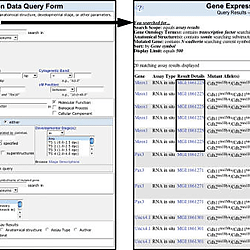 Querying for detailed expression data