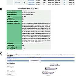 Example of a database search using the Web interface