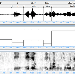 Speech Analysis of Disfluency Disorder