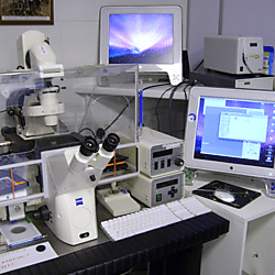 Live cell imaging microscope
