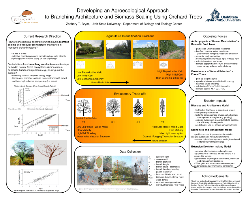 Sustainable Agriculture Poster