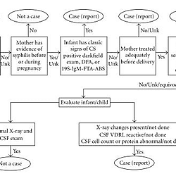 CDC congenital syphilis case investigation algorithm