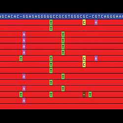 View of a tandem array aligned with its consensus pattern