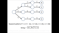 Aho Corasick String Matching Video