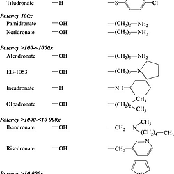 Structures of the R1 and R2 side chains (see Fig