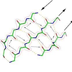Sheet building by identifying the ladder and sampling along the steps