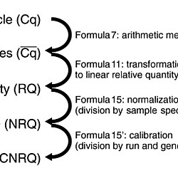 QBase calculation workflow