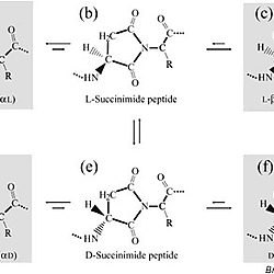 Racemisation and isomerisation of CTX molecules