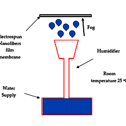 Fig 2. Schematic diagrams of fog procedure
