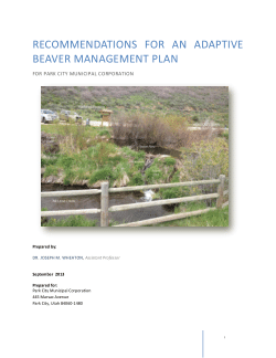 Scoping Study and Recommendations for an Adaptive Beaver Management Plan