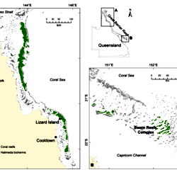 Distribution of mapped Halimeda bioherms - Great Barrier Reef