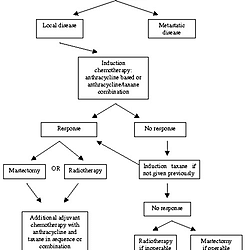 Treatment algorithm for inflammatory breast cancer