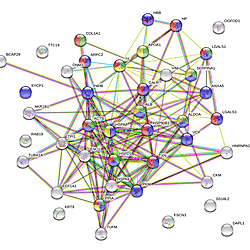 Coppola et al.-JCEM-Supplemental Materials