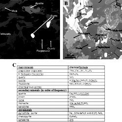 SEM–EDS images of: A. solid bed cut; B. biofilm-rock interface; C ...