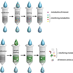 Solid Phase Extraction