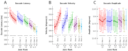 Eye movement metrics in a transitive inference task
