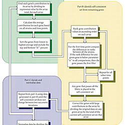 Flow Diagram of SCS algorithm