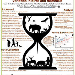 Poster presentation of comparative analysis of longevity in birds and ...