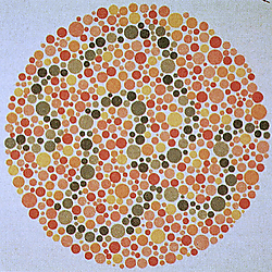 Ishihara chart showing red-green colour blindness