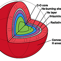 Proposed internal structure of AGB star