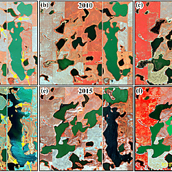 Mapping wetland hydrological dynamics using Google Earth Engine