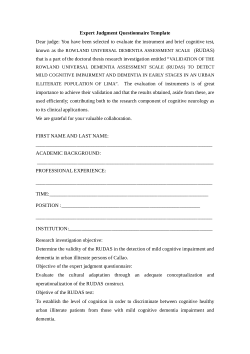Expert Judgment Questionnaire Template