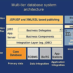 Database architecture of PlantsDB
