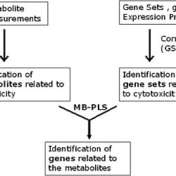 An overview of the hierarchical approach