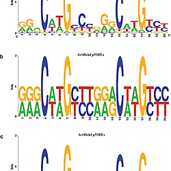Sequence logos for three datasets