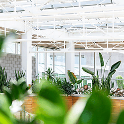 How to Make Your Greenhouse Presentable and Ready for Spring.docx