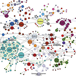 () Human disease network