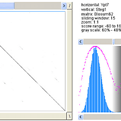 DNA-based watermarks using the DNA-Crypt algorithm-3