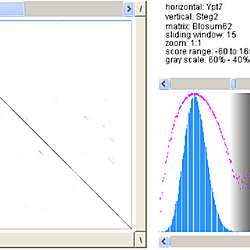 DNA-based watermarks using the DNA-Crypt algorithm-4